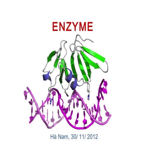 Ban ve Enzyme | PPT