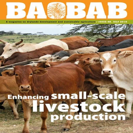 Baobab issue 58 july 2010 | PDF