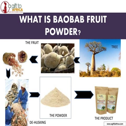 What is the Baobab Fruit Powder? | PPTX