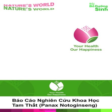 Báo cáo nghiên cứu Khoa học Tam Thất (Panax Notoginseng) | PDF
