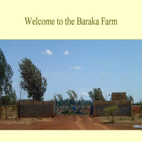 Baraka Farm | PDF