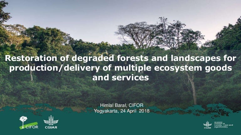 Restoration of degraded forests and landscapes for production/deliver…