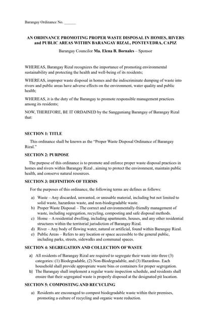 annual Budget Youth Investment plan sample.docx