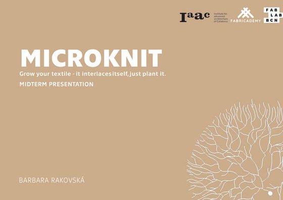 AMBER GRAIN EMBROIDERY | Growing folklore elements | Barbara Rakovska | PDF