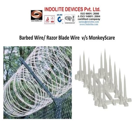 Barbed wire versus monkeyscare | PPT