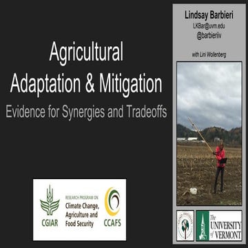 Adaptation-Mitigation Synergies and Tradeoffs | PPTX