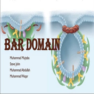 BAR Dmains, Types, Mechanism, Functions.pptx