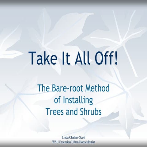 Bare root primer | PDF