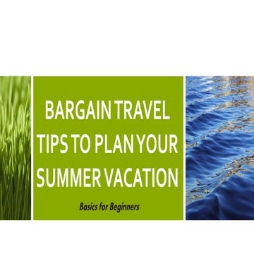 Bargain Travel Tips to Plan Your Summer Vacation: Basics for Beginners ...