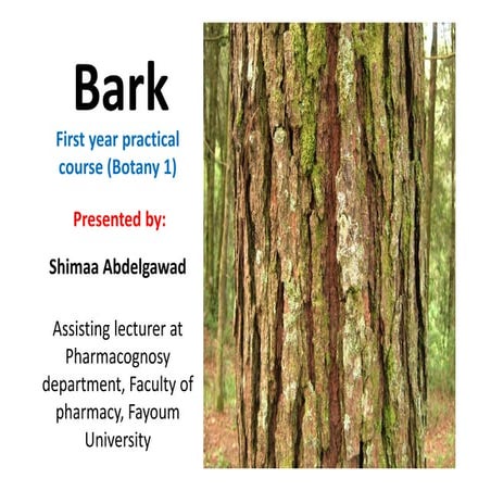 Bark | PDF