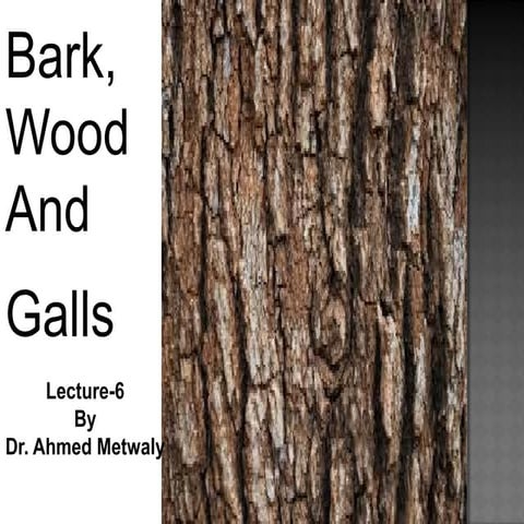 09.Morphology and microscopy of Ginger.ppt