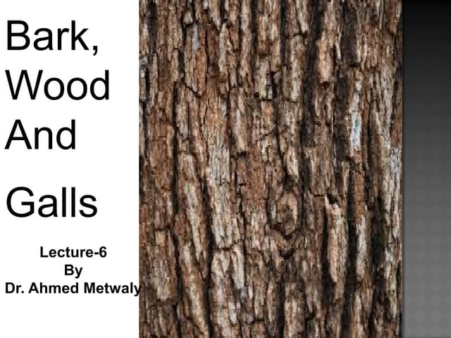 09.Morphology and microscopy of Ginger.ppt