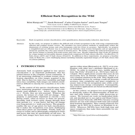 Efficient Bark Recognition in the Wild - THOROUGH PAPER | PDF