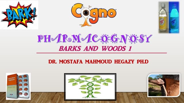 Barks intro., Cinchona, pomengranate and Yohimbe | PPT Barks intro., Cinchona, pomengranate and Yohimbe | PPT