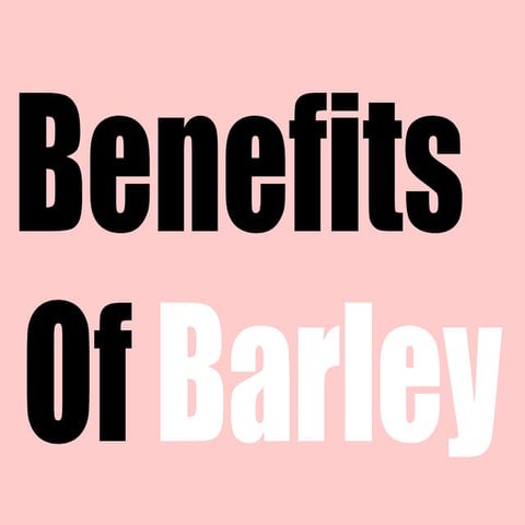 Barley | PPT