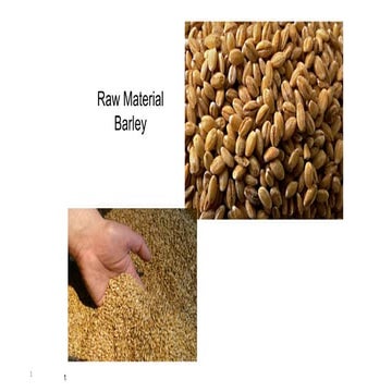 Barley.pptx