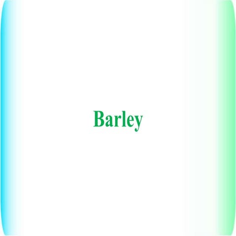 Barley.ppt