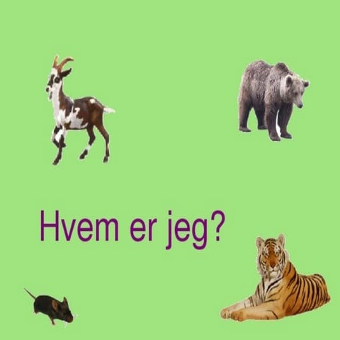 Barnebok | PPT