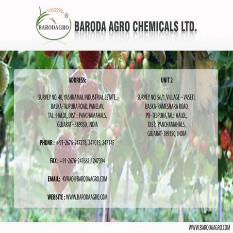 baroda agro chemicals, pesticides formulation business | PPTX