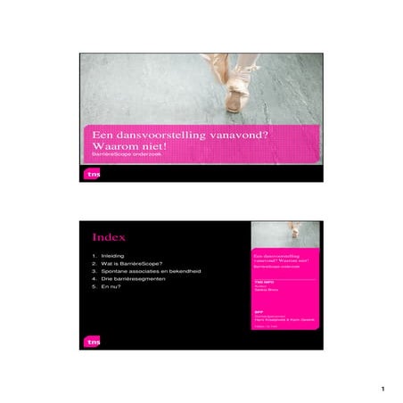 Barrière scope presentatie bpp_tns nipo | PDF | Personal Celebrations ...