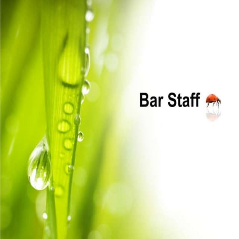 Bar organization.pptx