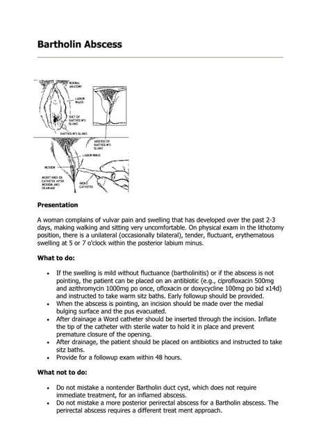 Lower uterine segment | PPT