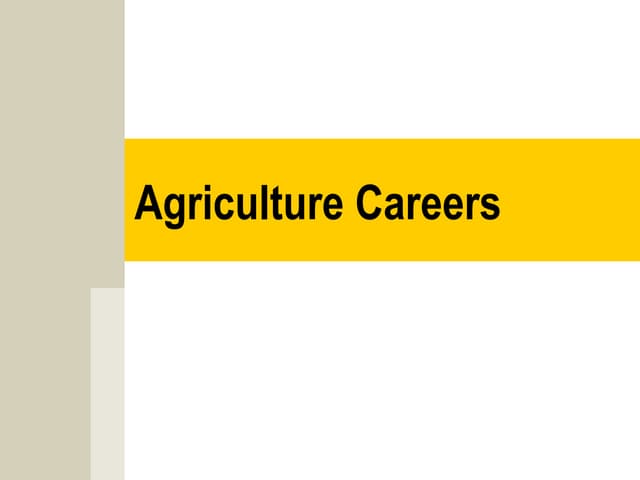 Branches of Agriculture.pptx