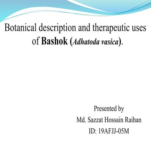 Botanical description and therapeutic uses of Bashok (Adhatoda vasica ...