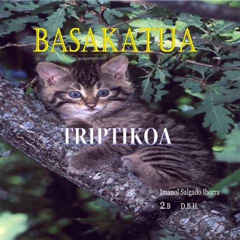 Basakatuaren Triptikoa | PPT