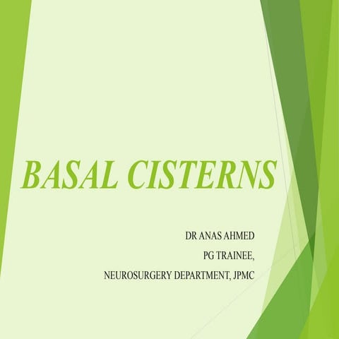 basal cisterns final.ppt