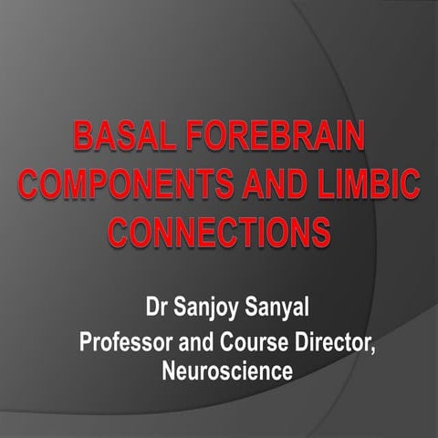 Basal Forebrain Components - Schizophrenia - Limbic Connections ...