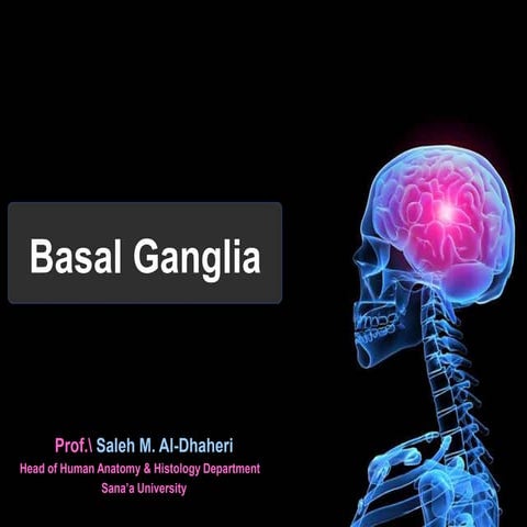 Basaaaaaaaaaaaaaaaaaaaaaaaaaaal gangli.ppt