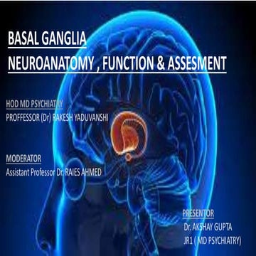basal ganglia-2.pptx