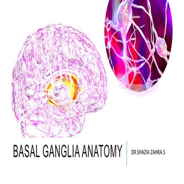 Basal ganglia | PPT