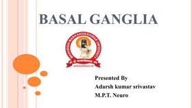 Basal ganglia 101 | PPT
