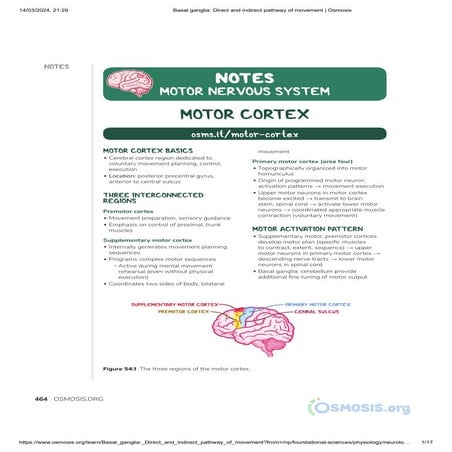 Basal ganglia_ Direct and indirect pathway of movement _ Osmosis.pdf