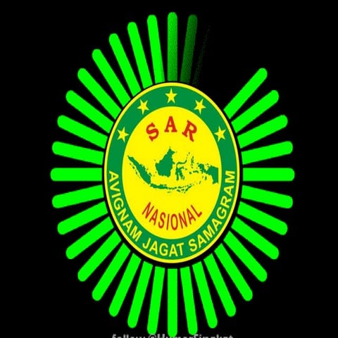 Profile Badan Sars Nasional | PPTX