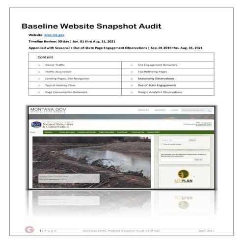 Baseline Website Snapshot Audit v3 | PDF