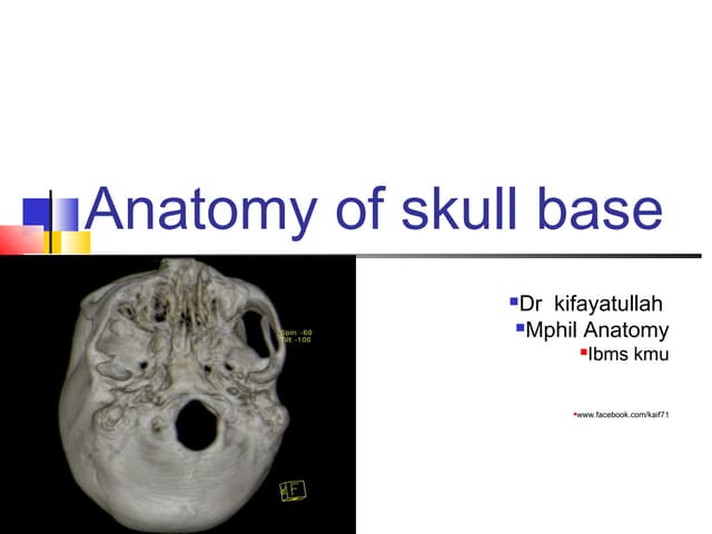 Anatomy of the Skull | PPT