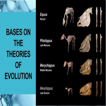BASES-ON-THE-THEORIES-OF-EVOLUTION-Copy.pptx