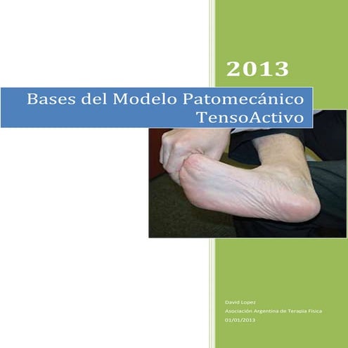 Bases del modelo TensoActivo: estudios preliminares | DOCX