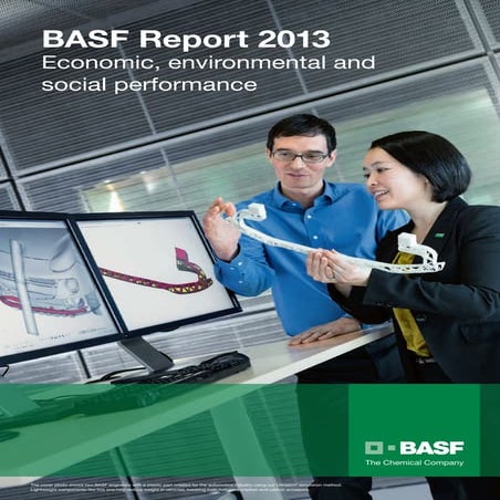 BASF 2013 Sustainability Report | PDF