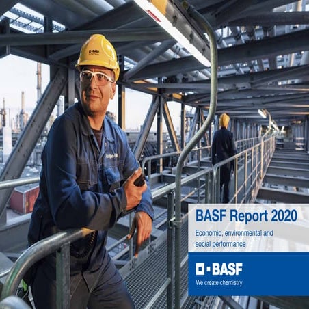 BASF_Report_2020.pdf