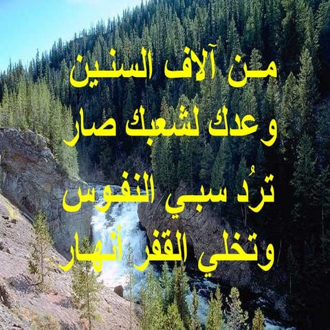 Bashayer fara7 | PPT