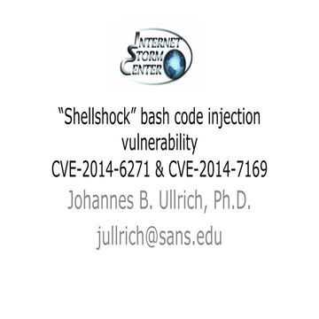 Bash Code Injection Briefing Ppt 