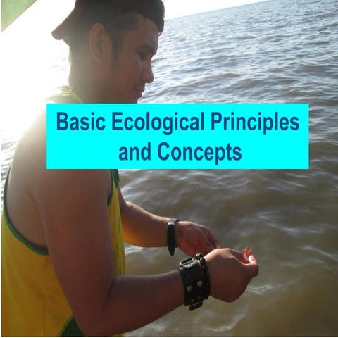 Basic Concepts (Microbial Ecology) | PDF