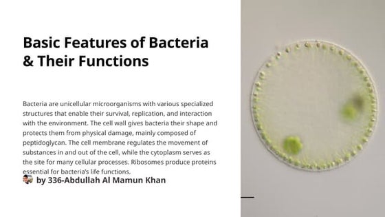 Morphology & Physiology of Bacteria | PPTX | Biological Sciences | Science