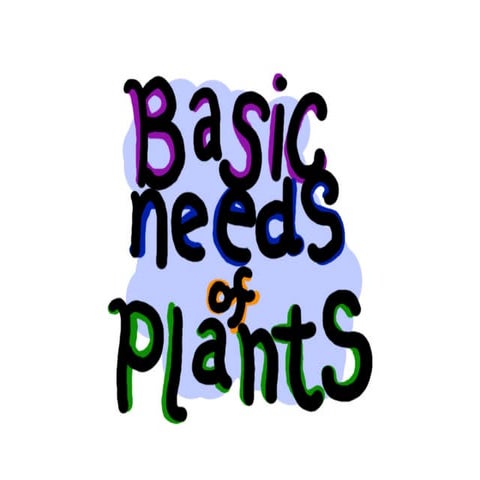 Basic Needs Of Plants | PPT
