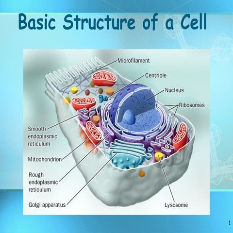 Basic-Structure-of-a-Cell.ppt (GENERAL BIOLOGY) | PPT