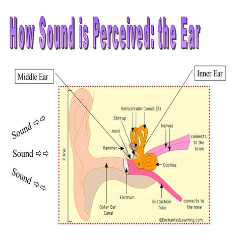 Basic Acoustics, Theory & Principles .PDF